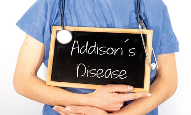 โรคแอดดิสัน (Addison’s Disease) - Hello Khunmor