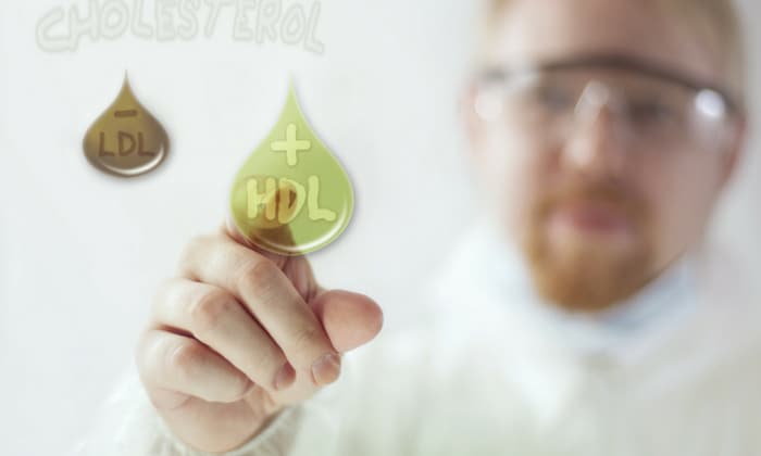 ไขมันดี (HDL) มีมากเกินไปเป็นอันตรายต่อร่างกายหรือไม่