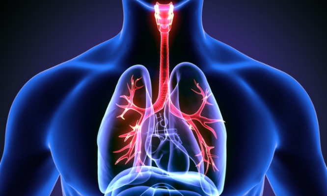 หลอดลมโป่งพอง (Bronchiectasis) - Hello Khunmor