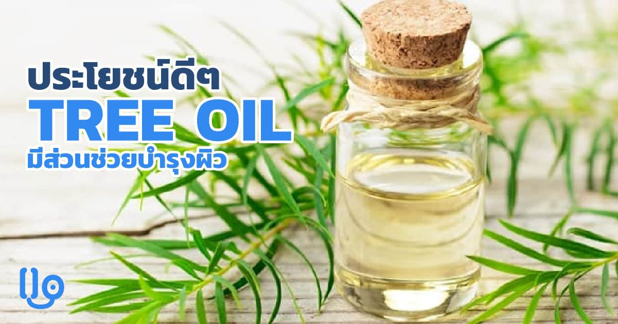 tea tree oil ประโยชน์ต่อผิวประเภทต่าง ๆ และส่วนอื่น ๆ ของร่างกาย