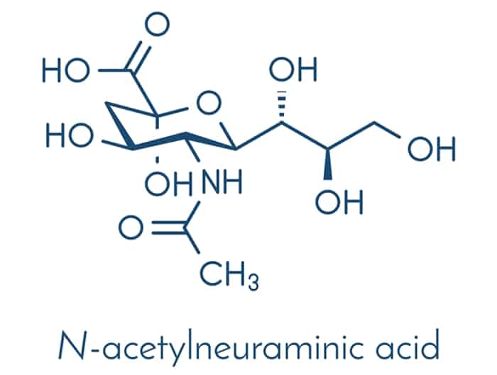 NANA (นานะ) ในรังนกแท้ สิ่งดีๆ ที่ธรรมชาติมอบให้ เพื่อภูมิคุ้มกันของร่างกาย