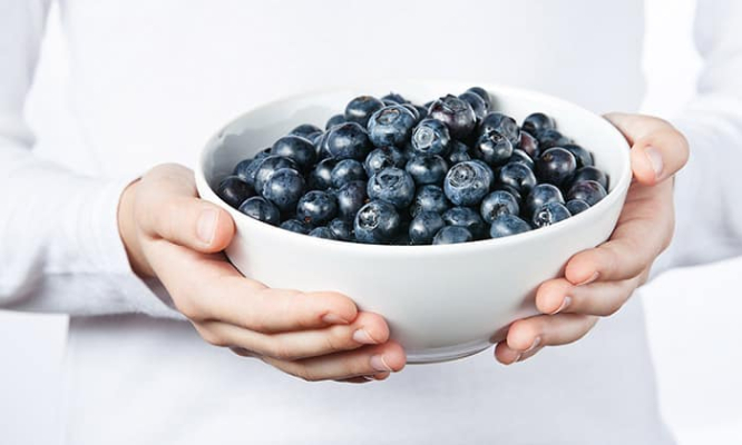 blueberry (บลูเบอร์รี่) ประโยชน์ และข้อควรระวังในการบริโภค